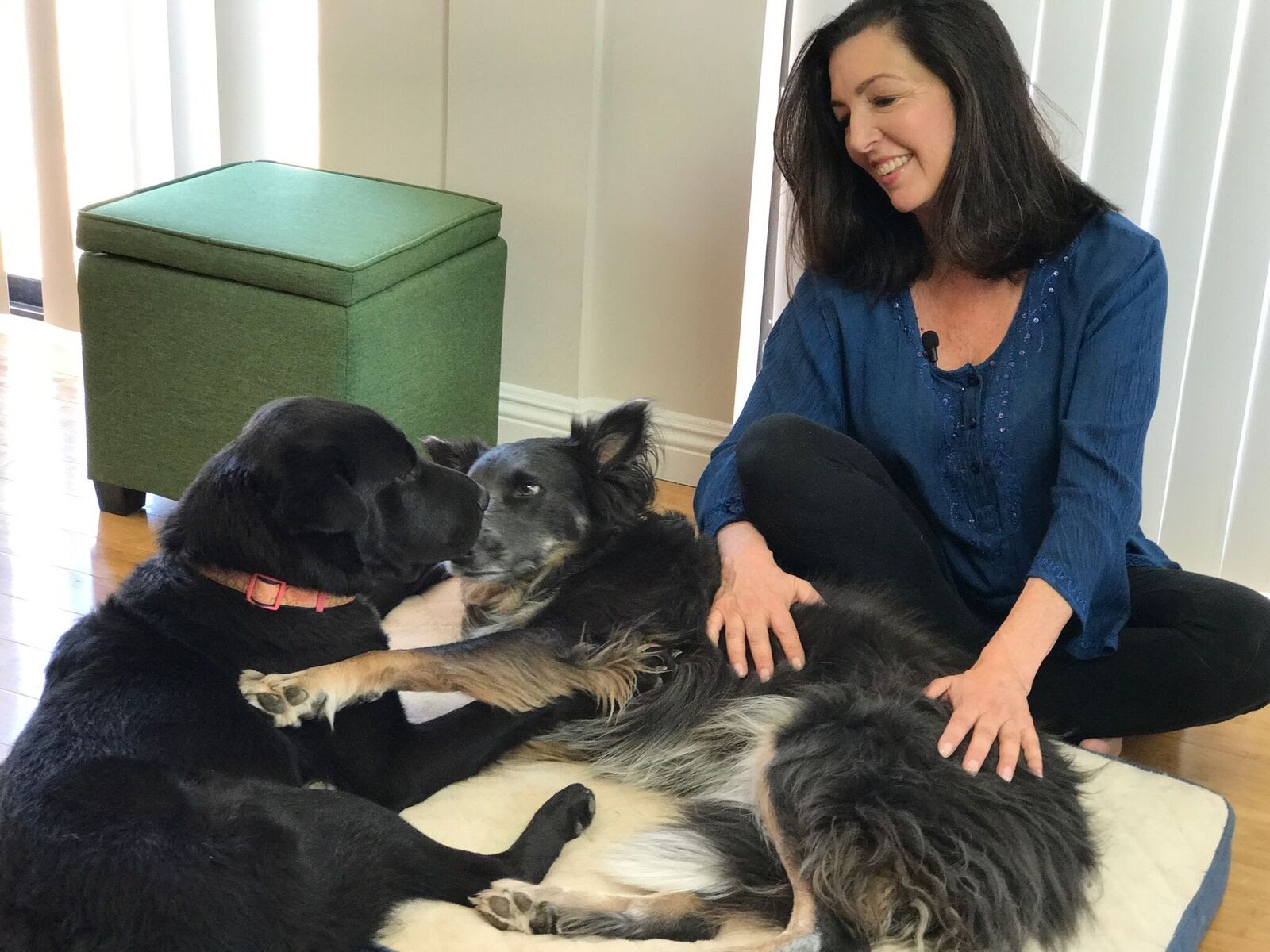 Introduction to Energy Healing (Single Class) - Joan Ranquet