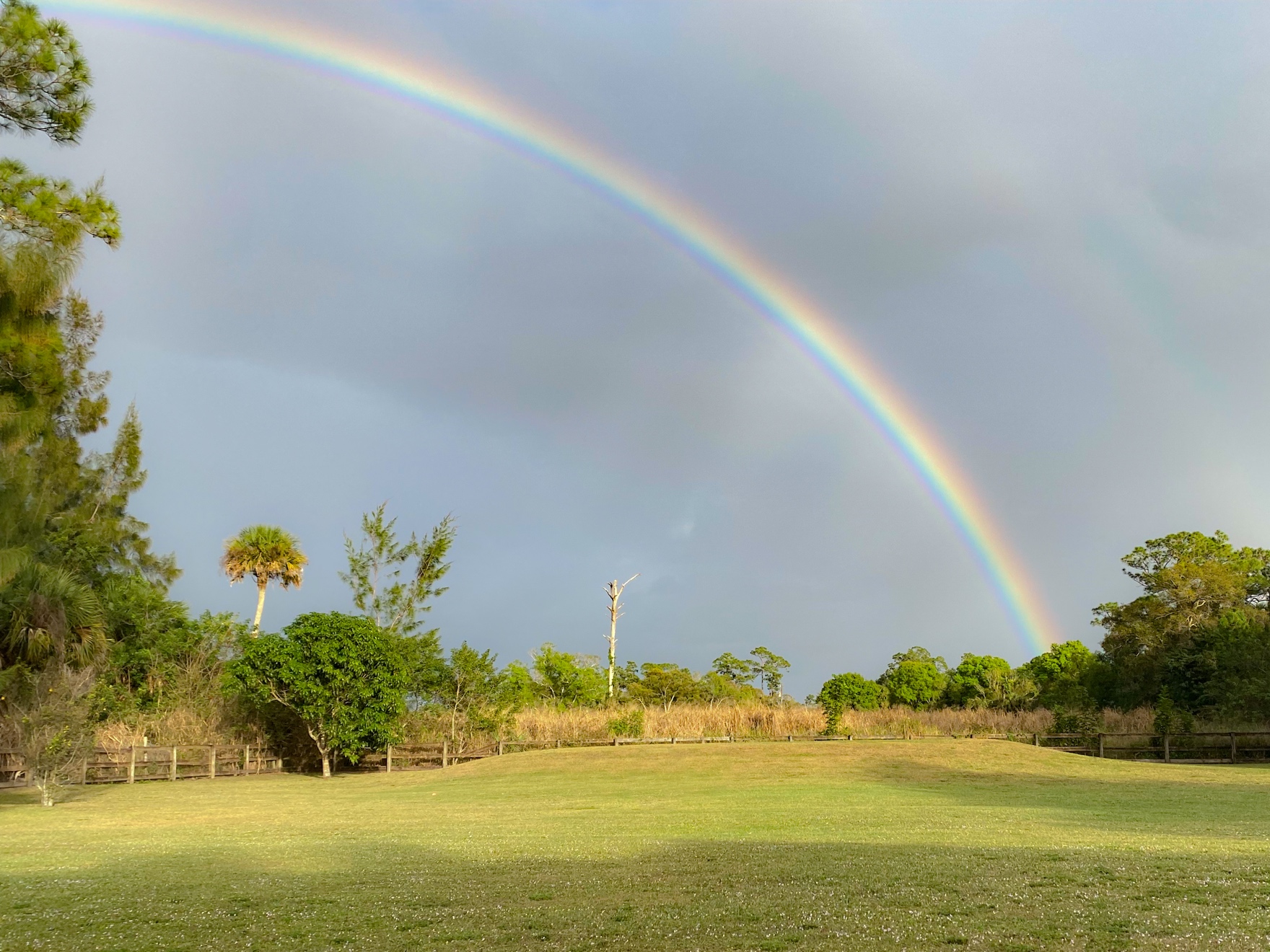 The Rainbow Bridge, Animals in Transition - Joan Ranquet