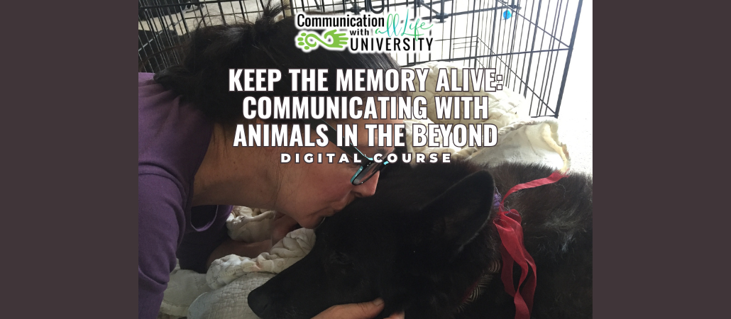 Keep the Memory Alive: Communicating with Animals in the Beyond - Joan ...